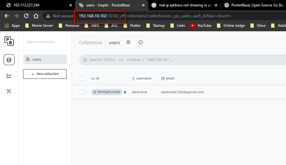 server problem with router public real ip address · pocketbase pocketbase · Discussion #1953 ...