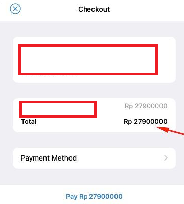 Incorrect showing amount in invoices on Apple devices · Issue #1099 ...