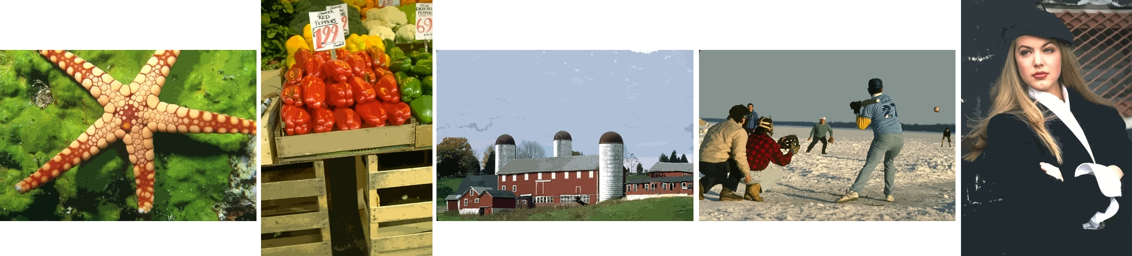 Github Seunghwanbyunclustering Algorithms Codes Of Clustering Algorithms Like A Quadtree K