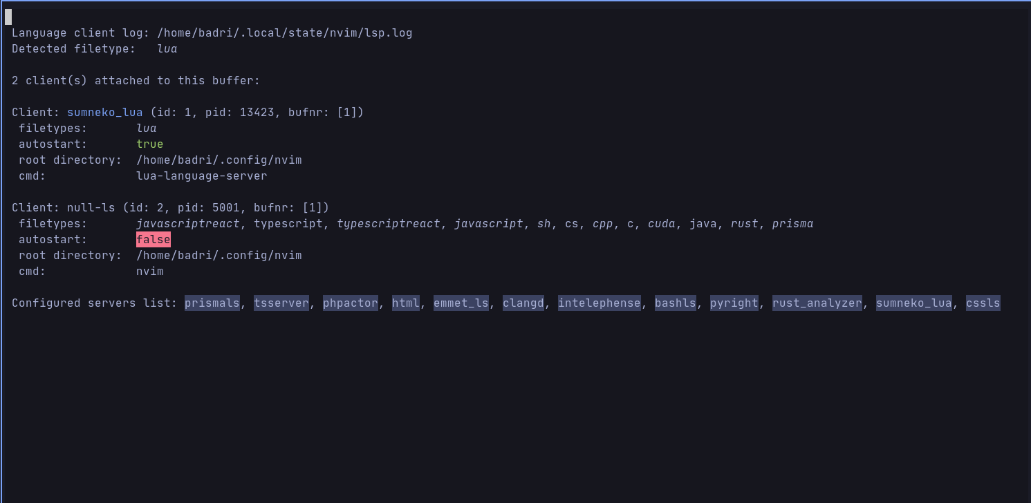Lsp Format does not work · Issue #1218 · NvChad/NvChad · GitHub