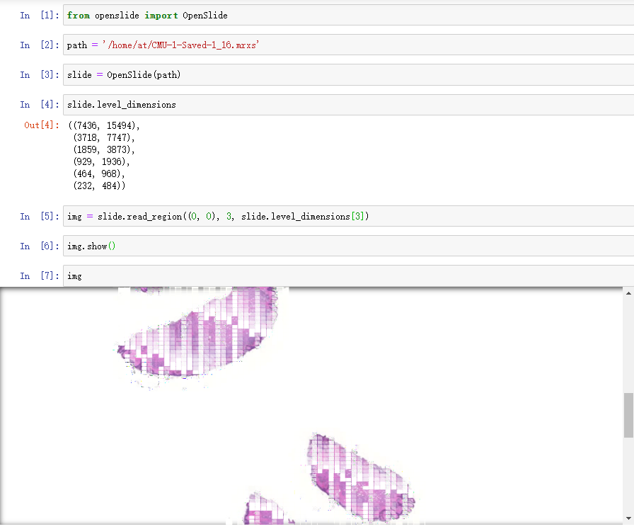 Mrxs File Seem Error With Read Region Function · Issue 65 · Openslide Openslide Python · Github