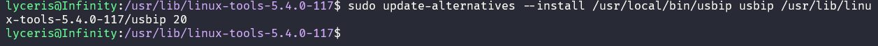 Usbipd Worked This Morning Now Usbipd Error Wsl Usbip Client Not Correctly Installed 