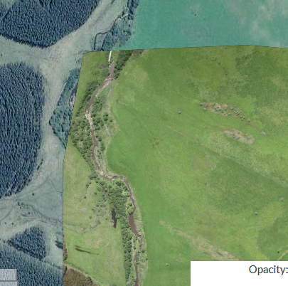 Scale problem · Issue #964 · OpenDroneMap/ODM · GitHub