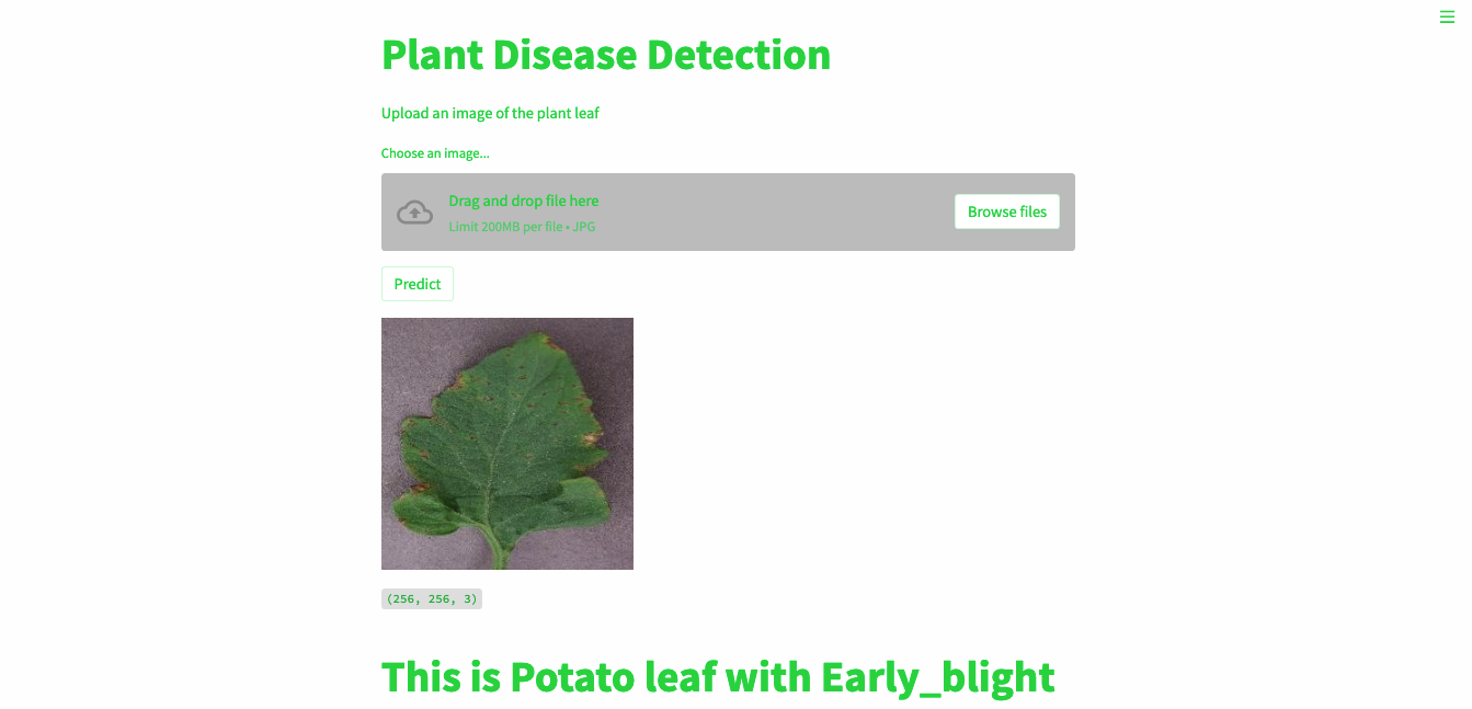 GitHub - jahidhasan299/Plant-Disease-Detection