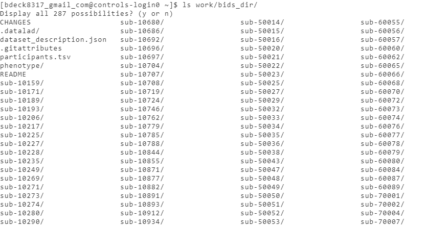 Fmriprep Asking For Dataset description json Even When Bids Dir Has The 