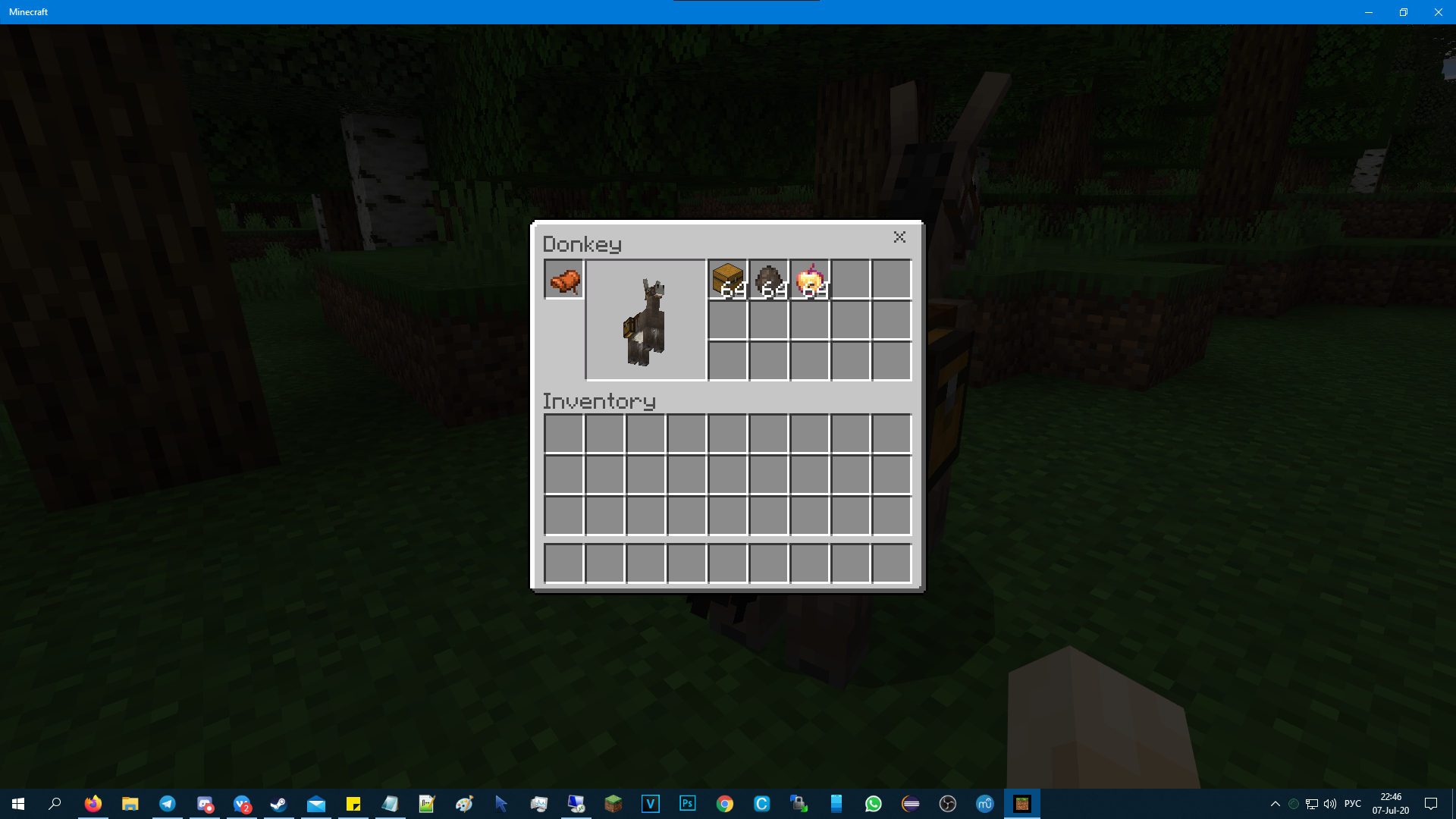 Donkey's inventory not being displayed when right-clicking · Issue #916 ...
