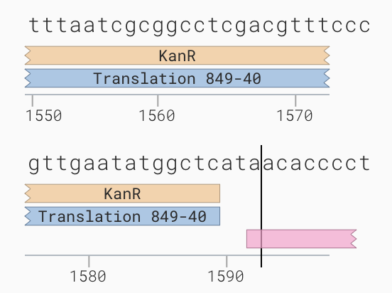 Sequence Annotations Loaded From Benchling Display In The Opposite Direction · Issue 166