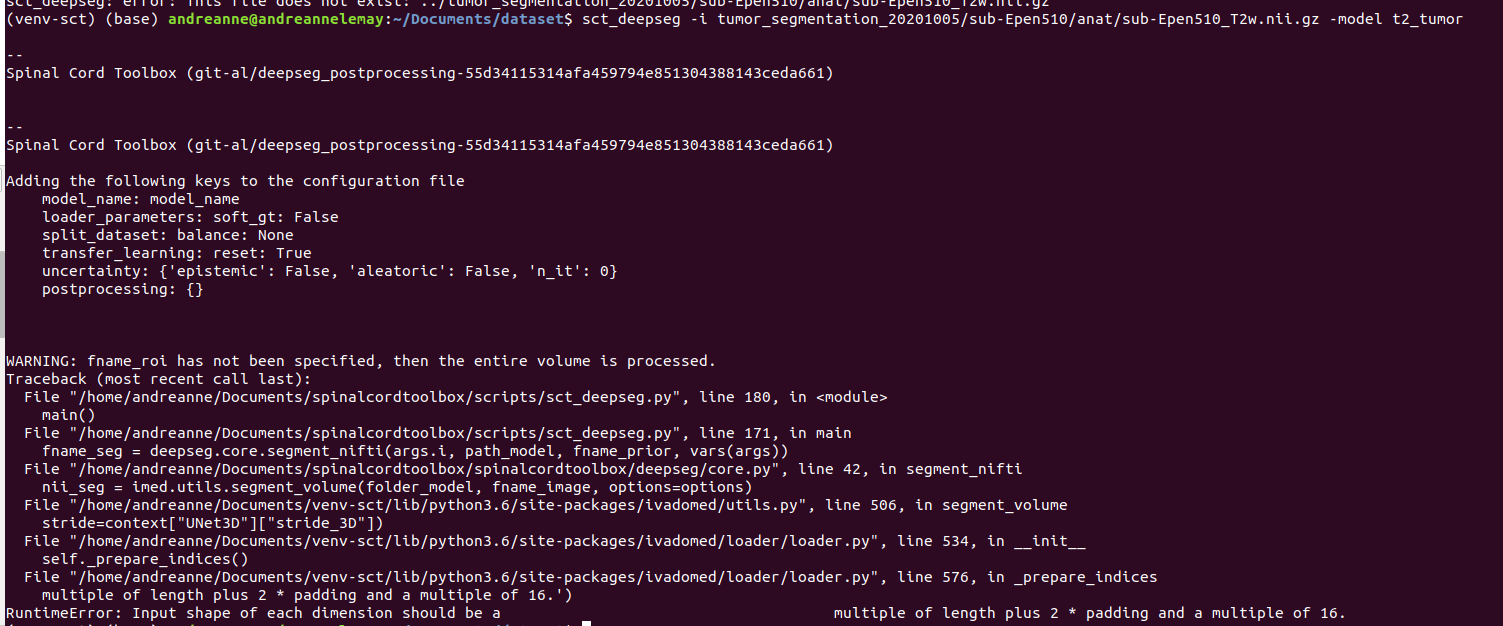 Some models in sct_deepseg cannot be run in standalone · Issue #2994 · spinalcordtoolbox ...