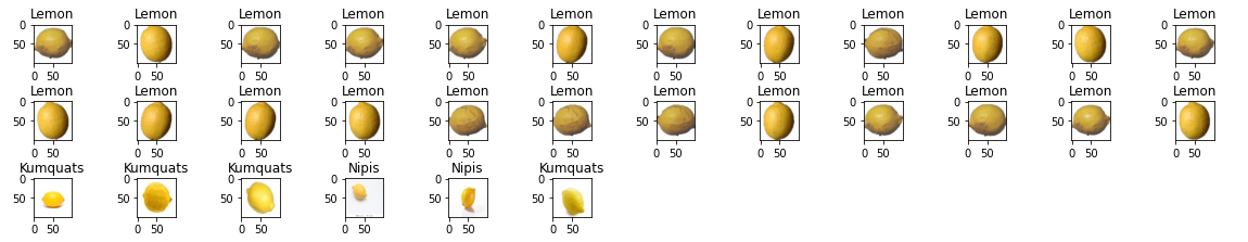GitHub - ryosinaga/Image-Classification-Of-Orange-Types-Using-CNN-