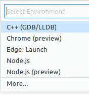 [Web CodeSpaces] Debug Environment options are based on browser ...