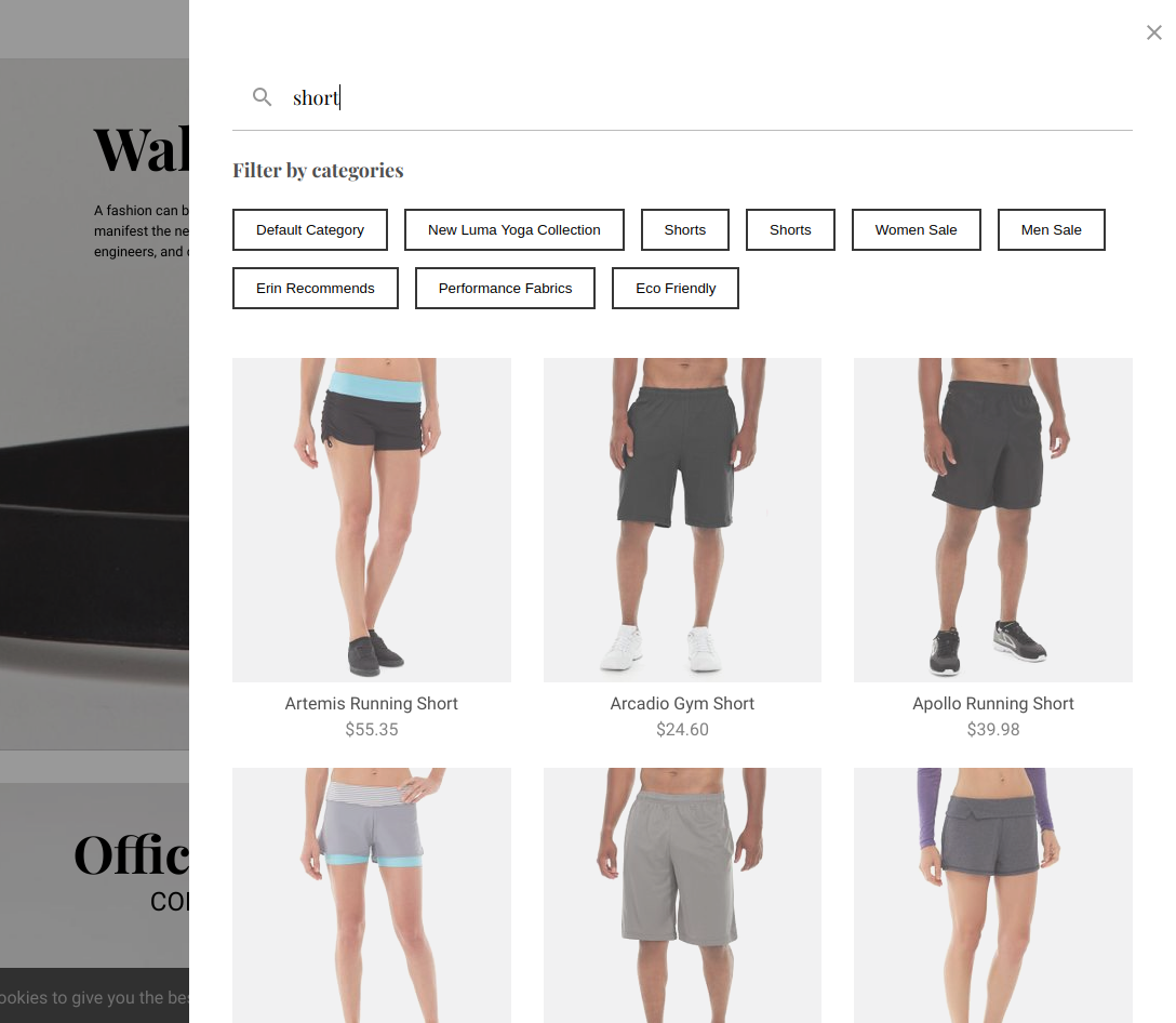 The search sidebar is not entirely visible (Safari) · Issue #2990 · vuestorefront/vue-storefront ...