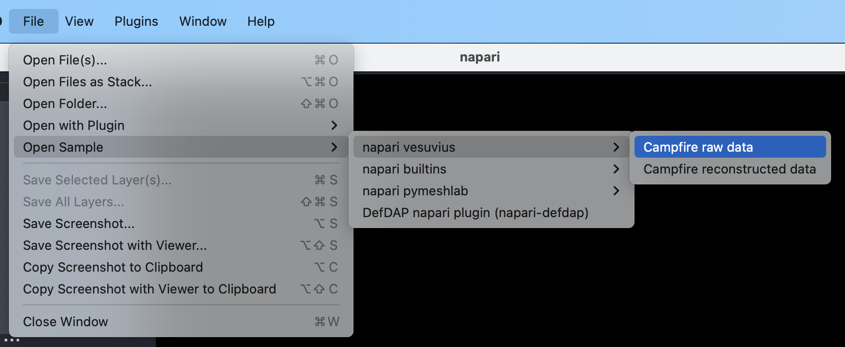 GitHub - jni/napari-vesuvius: napari plugin to work with Vesuvius Challenge data