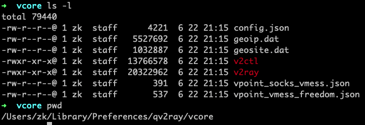 V2Ray 核心退出代码: 255 · Issue #1628 · Qv2ray/Qv2ray · GitHub