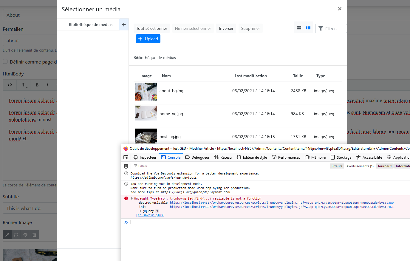 trumbowyg Editor error js with image · Issue #9303 · OrchardCMS/OrchardCore · GitHub