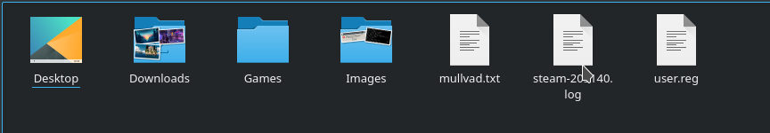 PROTON_LOG has no effect · Issue #450 · ValveSoftware/Proton · GitHub