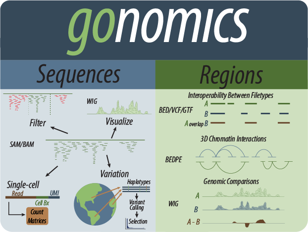 GitHub - vertgenlab/gonomics: A collection of genomics software tools ...