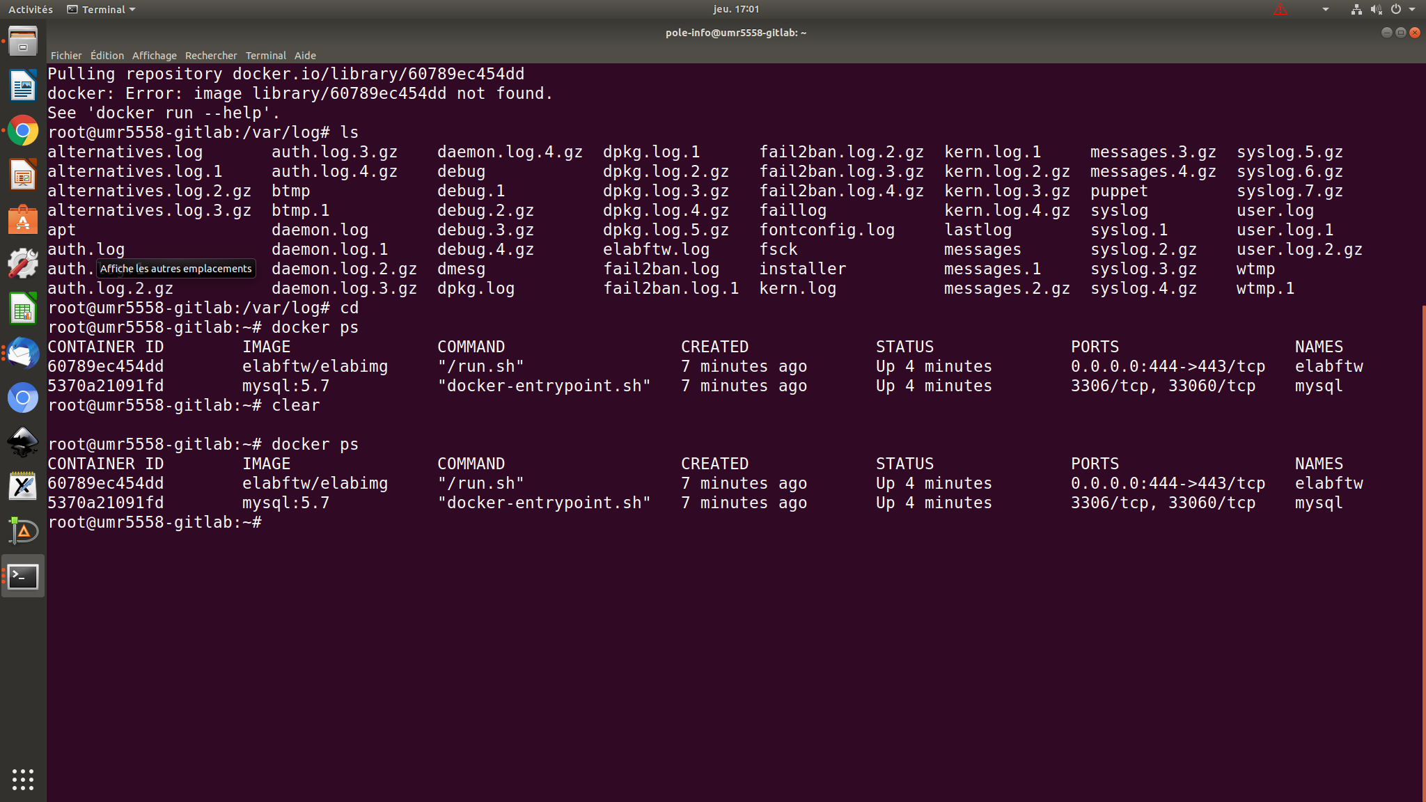 No access after login on elabFTW webpage · Issue #1352 · elabftw/elabftw · GitHub