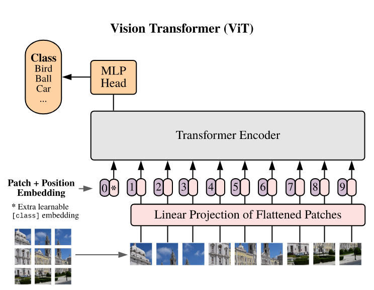 Tensors must have same number of dimensions : got 5 and 3 · Issue #238 · lucidrains/vit-pytorch ...