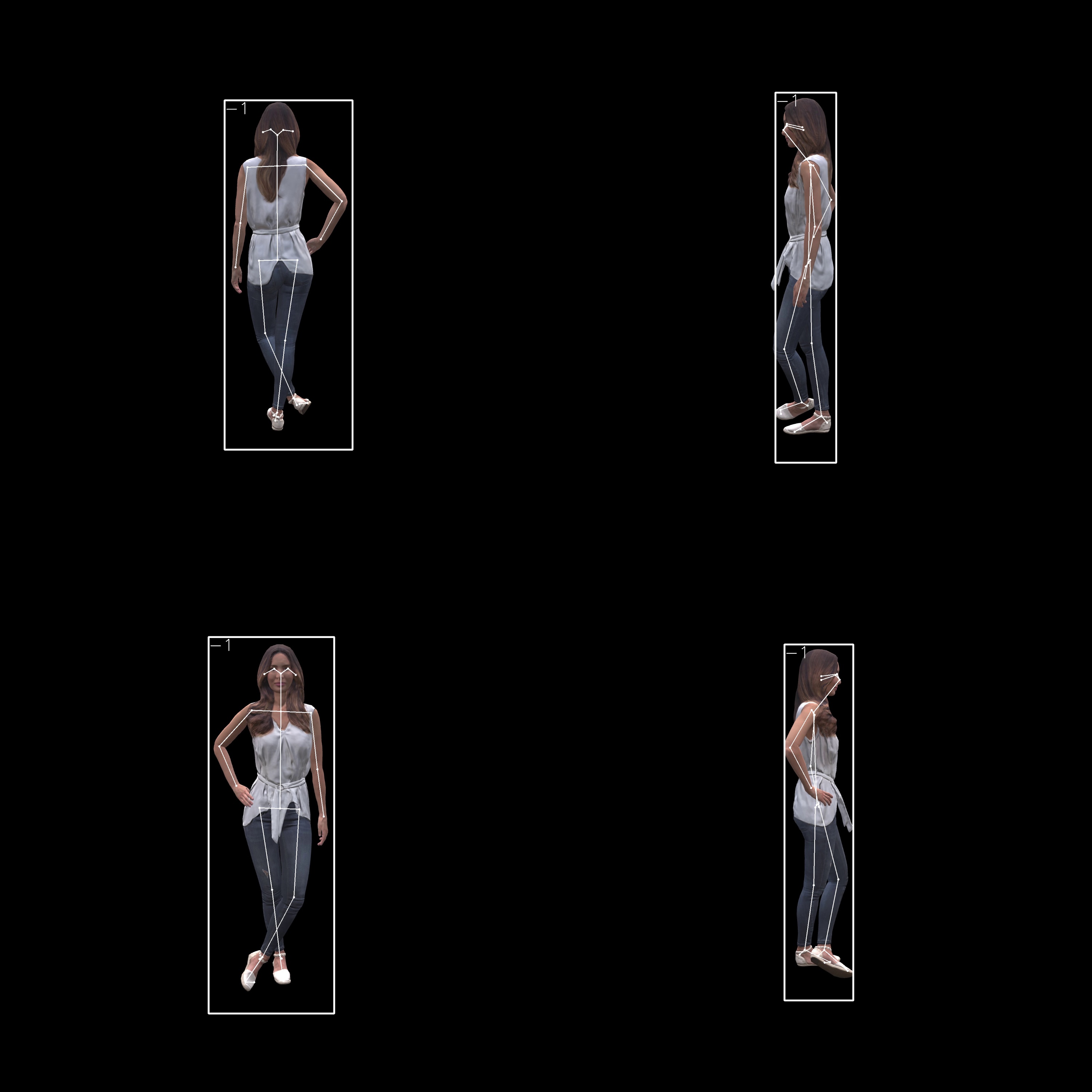 The question about repro and repro_smpl · Issue #77 · zju3dv/EasyMocap · GitHub