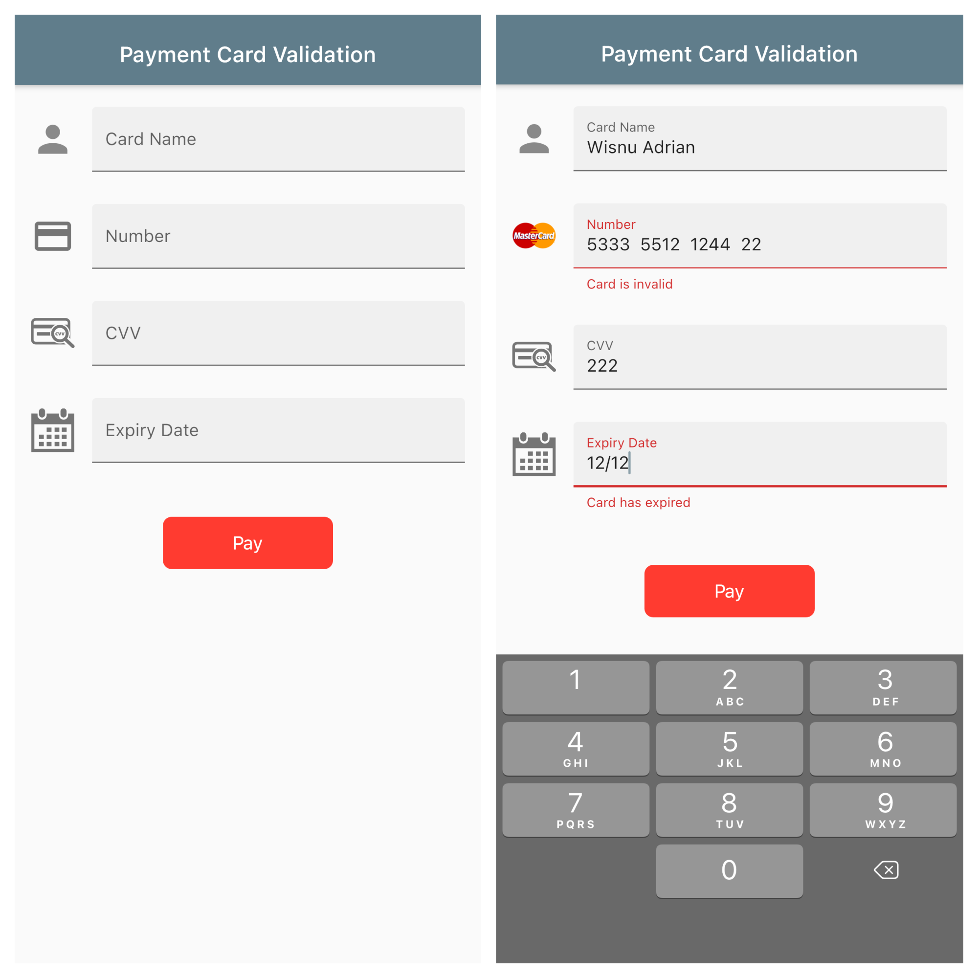 GitHub - Envy-7z/Validation-Payment-Card