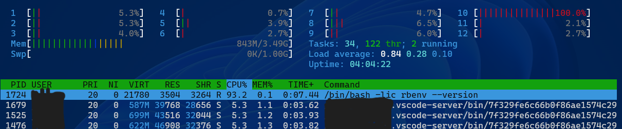 High CPU utilization when enabled · Issue #1574 · Shopify/ruby-lsp · GitHub