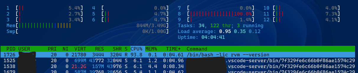 High CPU utilization when enabled · Issue #1574 · Shopify/ruby-lsp · GitHub