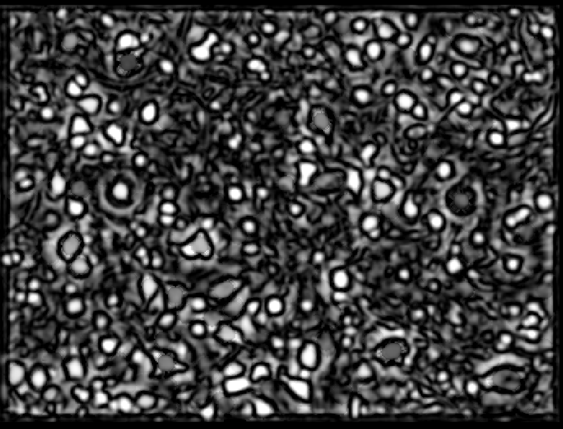 Drawing ROIs manually · Issue #96 · MouseLand/suite2p · GitHub