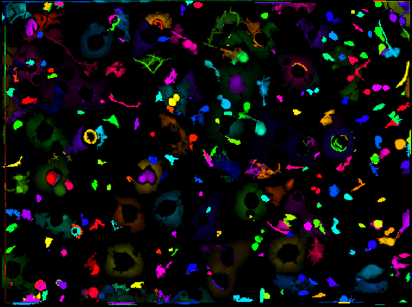 Drawing ROIs manually · Issue #96 · MouseLand/suite2p · GitHub