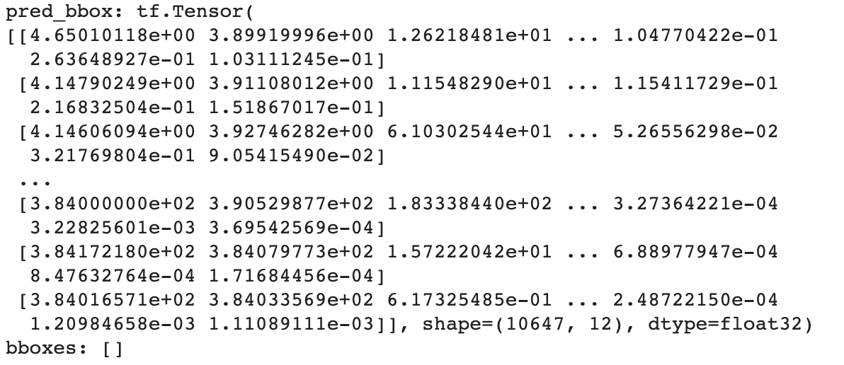 Can't predict anything when loading weights trained from alexeyab darknet · Issue #59 ...