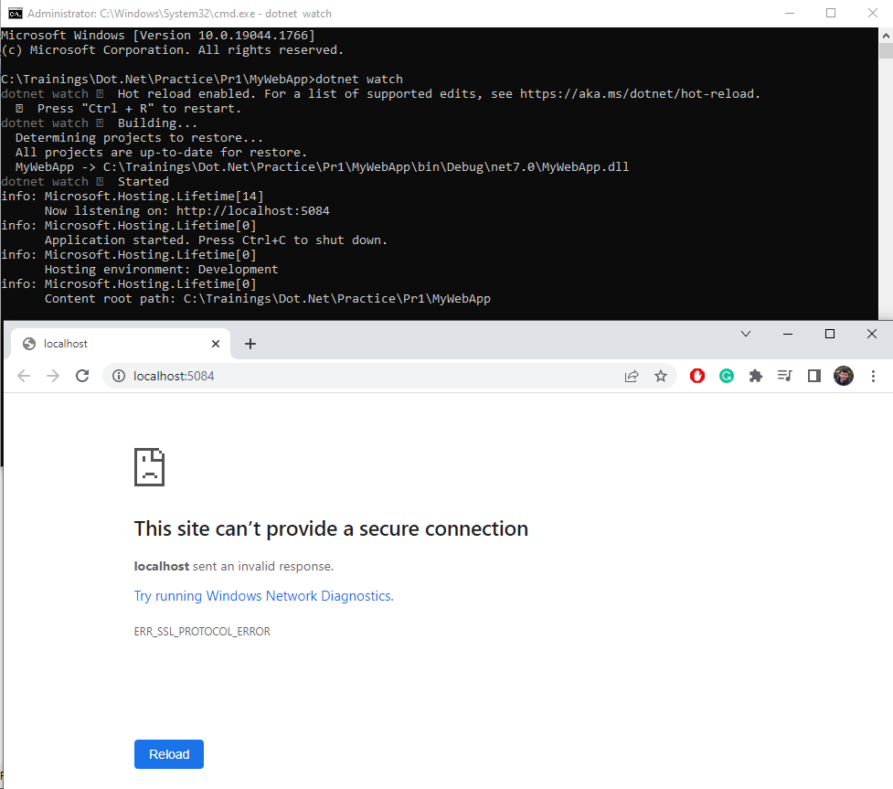 The Hello World In 5 Minutes Example Doesnt Work · Issue 7965 · Dotnetcore · Github