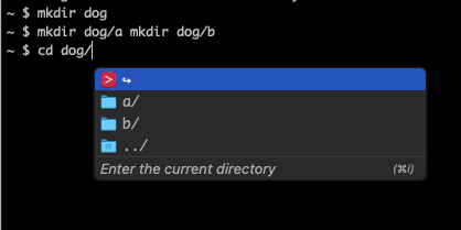Option to disable execute-on-tab · Issue #755 · withfig/fig · GitHub