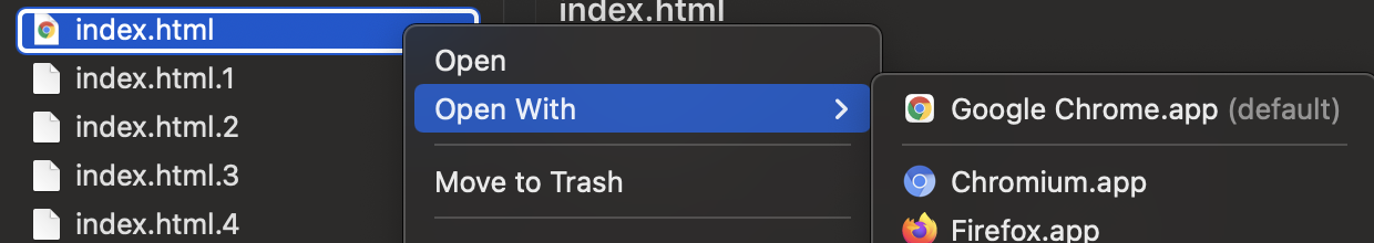 macOS "Open With kitty.app" · Issue #4460 · kovidgoyal/kitty · GitHub