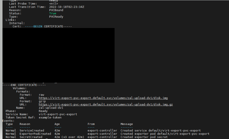Some problems about export feature · Issue #8618 · kubevirt/kubevirt · GitHub