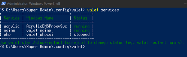 valet_phpcgi not started · Issue #162 · cretueusebiu/valet-windows · GitHub
