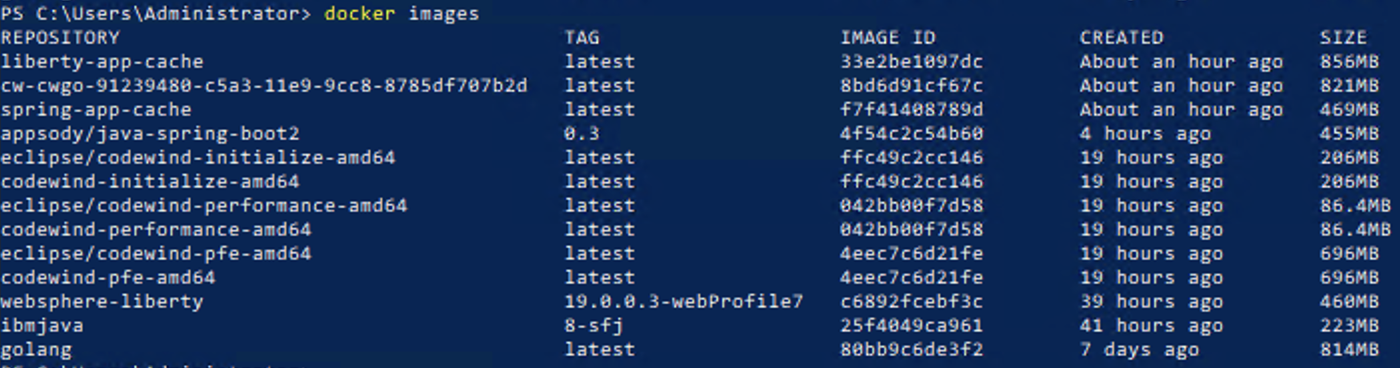 Svt Appsody Spring Boot Projects Have Several Error Messages In Appsody Log · Issue 267