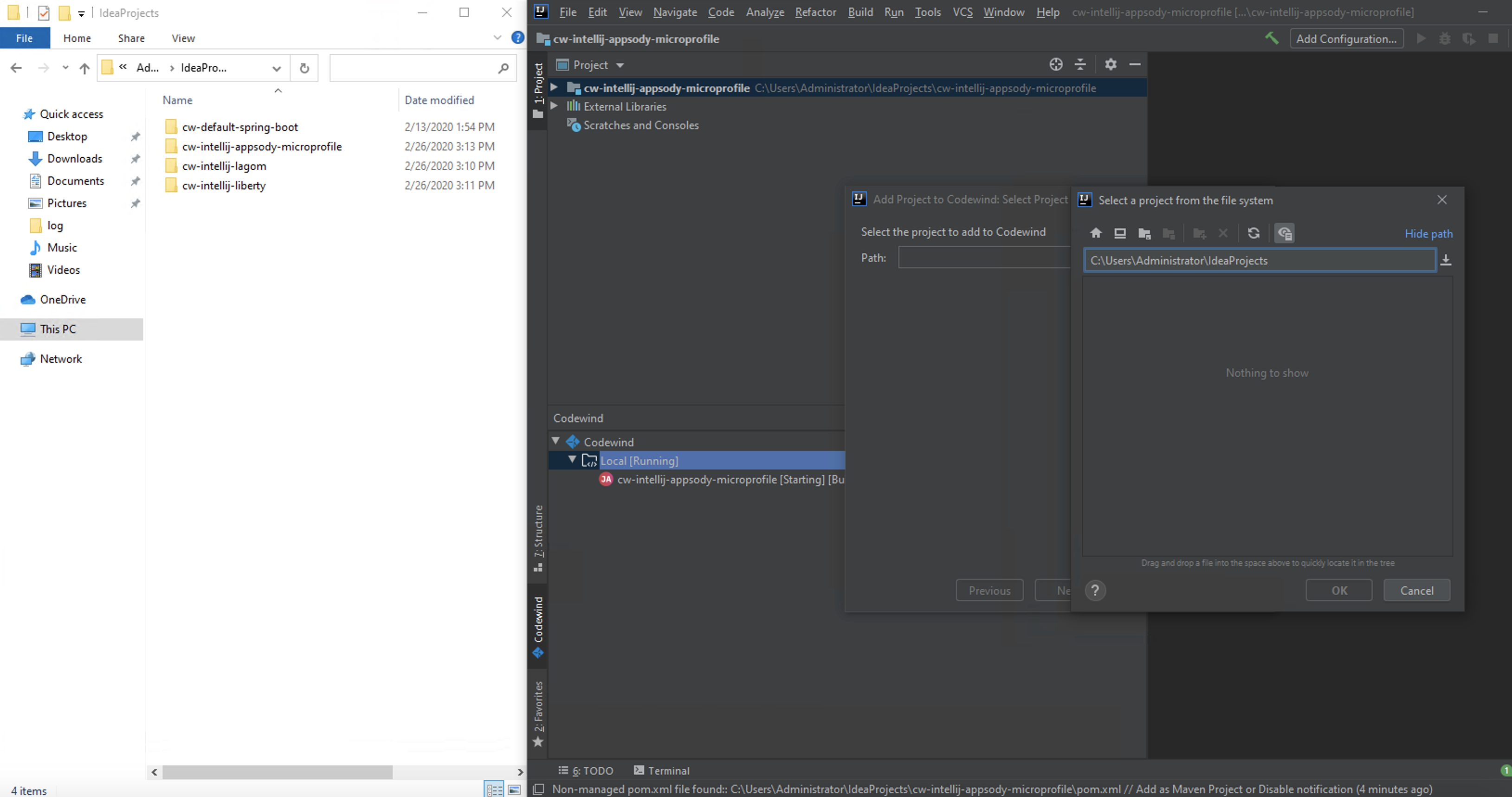 Intellij Svt Not Able To See List Of Existing Projects In Specific Directory · Issue 2326