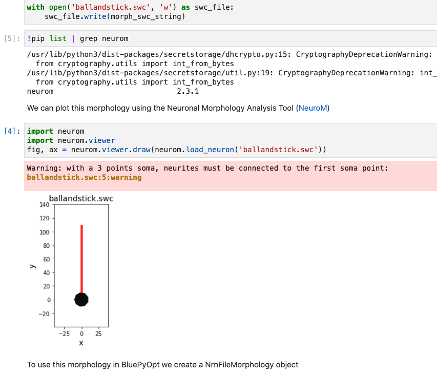 Fix Warning message · Issue #953 · BlueBrain/NeuroM · GitHub