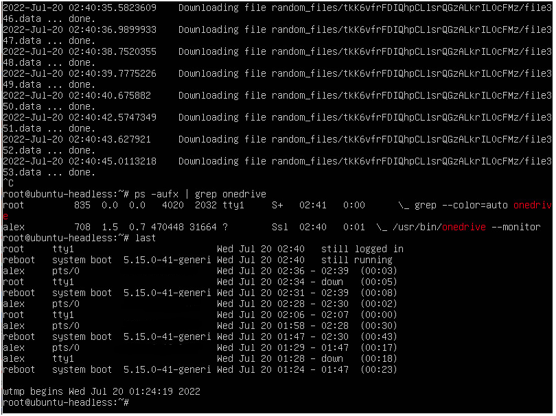 how to run onedrive service at boot (no login) · abraunegg onedrive ...
