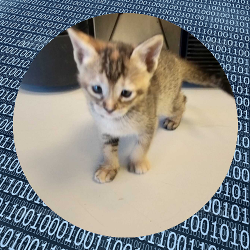 GitHub - YOPll/Funbot: Funbot is multi-purpose discord bot that can ...