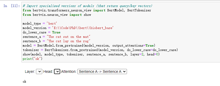Show Error · Issue #93 · jessevig/bertviz · GitHub