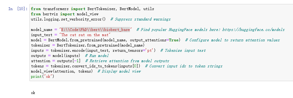 Show Error · Issue #93 · jessevig/bertviz · GitHub