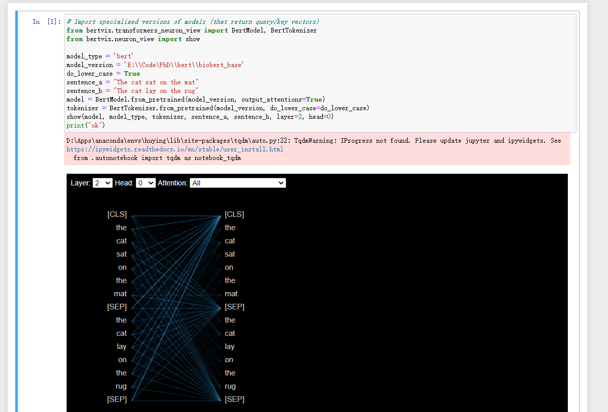 Show Error · Issue #93 · jessevig/bertviz · GitHub