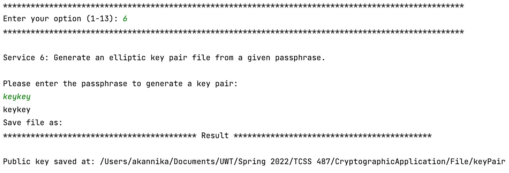 GitHub - A-Kannika/CryptographicApplication