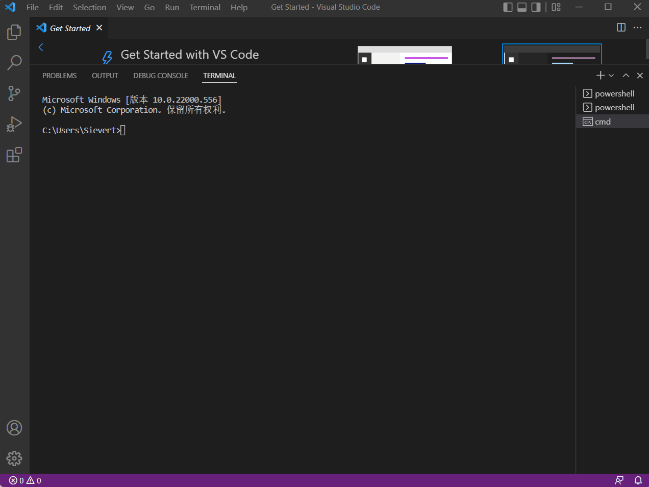 portable-mode-vscode-terminal-will-output-command-results-incorrectly