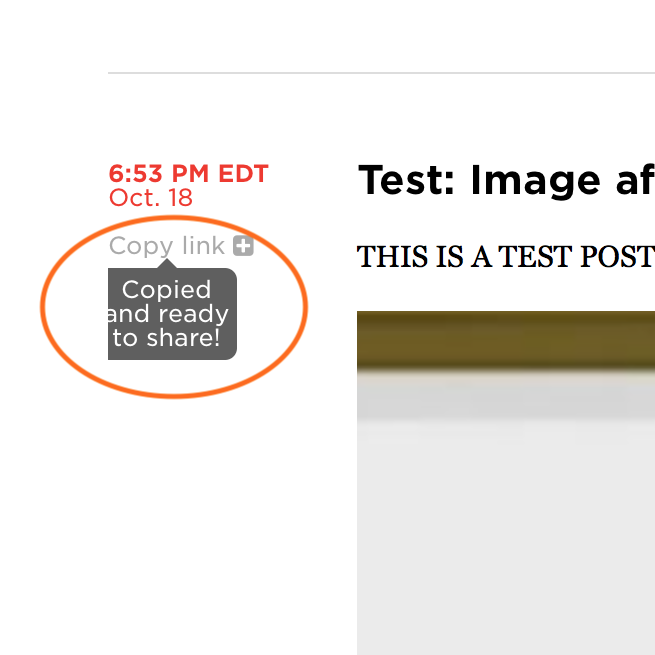 Copy-confirmation text is trimmed by the left-hand side of the embed ...