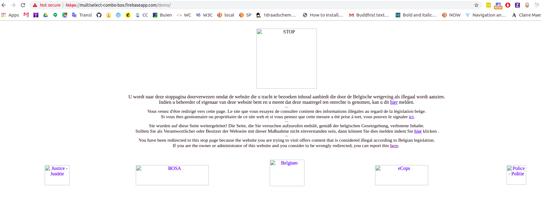 Problem running multiple vaading elements with this · Issue #34 · gatanaso/multiselect-combo-box ...