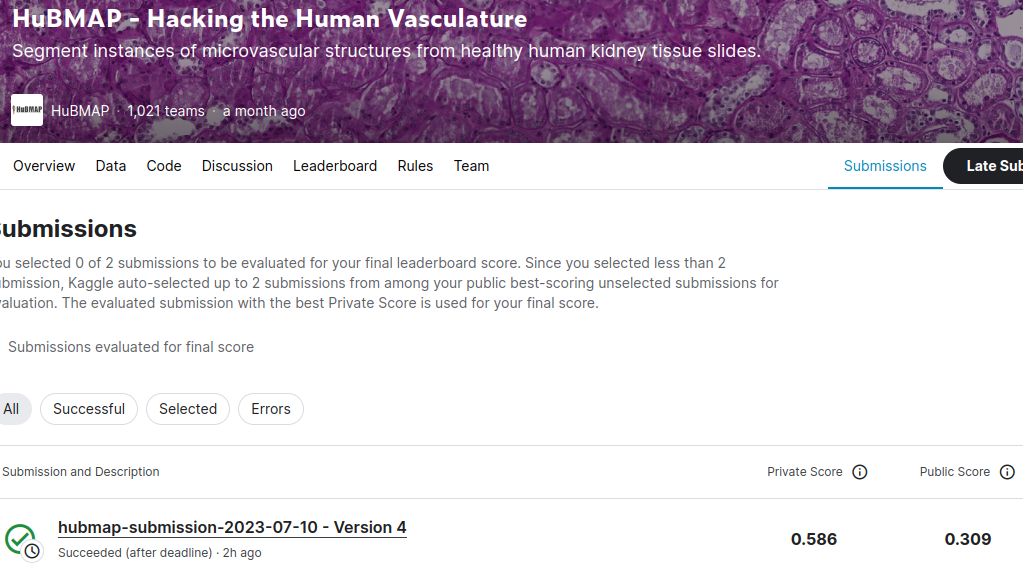 GitHub - bishnarender/hubmap-hacking-the-human-vasculature: Segment/locate instances of ...