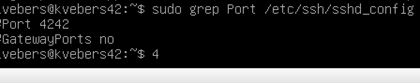 GitHub - kvebers/Born2BeRoot-Guide-for-Linux-rookies