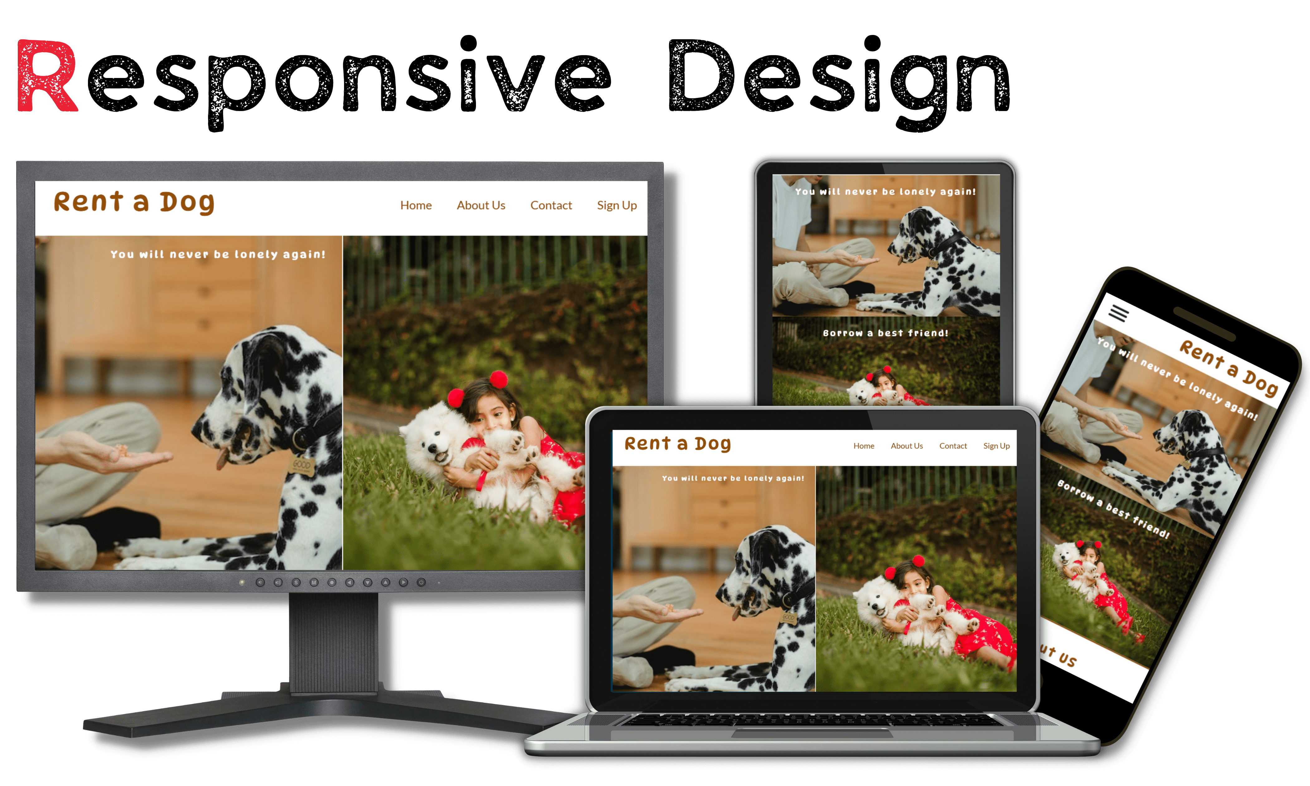 GitHub - Chris4891/CI-PP1: My first CI project